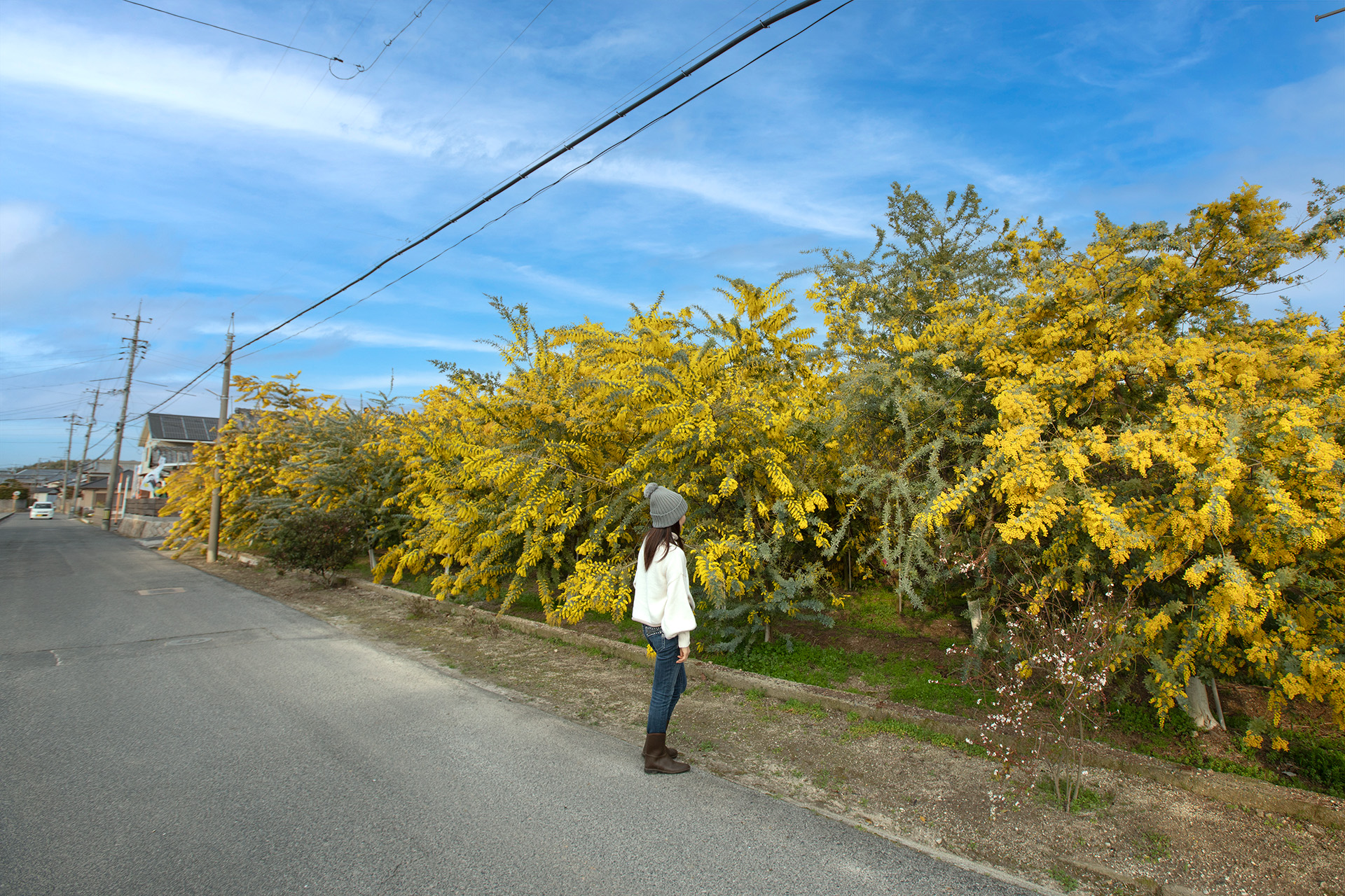 ご予約・お問い合わせ